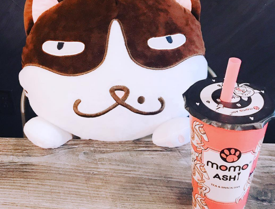 Momo Ashi Cafe 充滿汪星人和喵星人生活智慧的小飲料店 • 哇靠!紐約 WaCowNY 吃貨,美食, 旅游, 電影, 活動, 找 ...